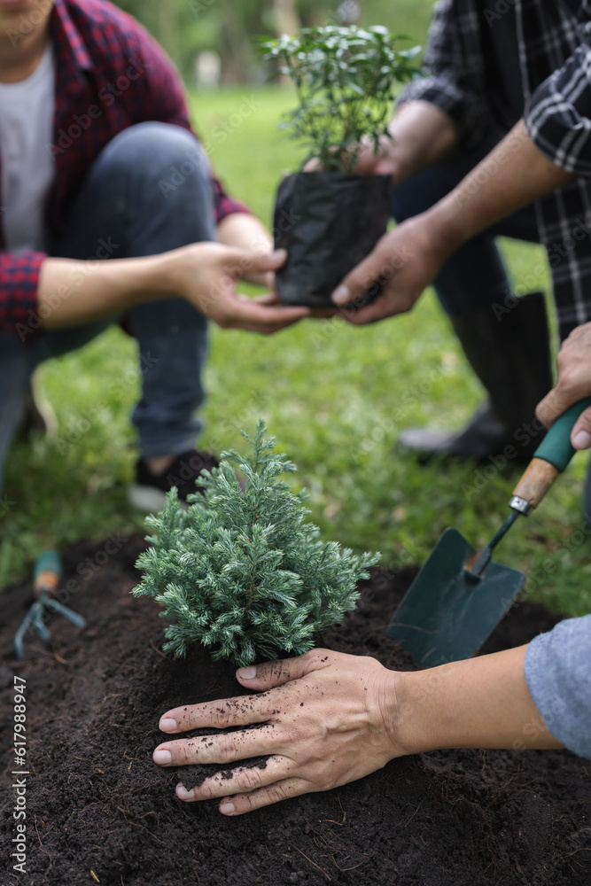 Volunteer team, youth helping to plant trees Shoveling to help increase ...