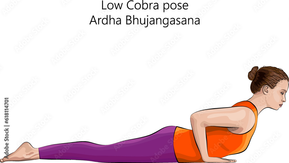 Young woman practicing yoga exercise, doing Low Cobra pose or Baby ...