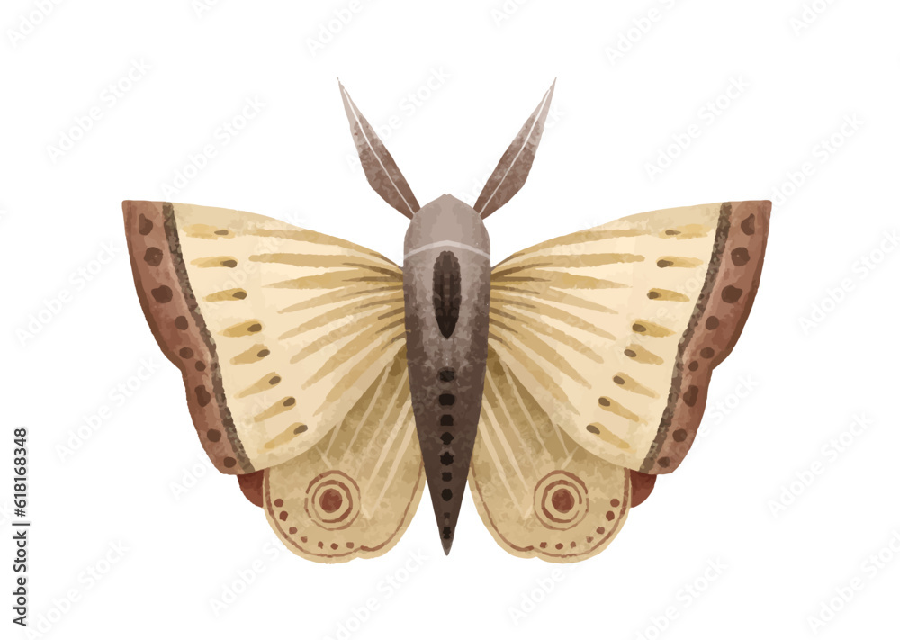 Mystical luna moth vector illustrations, cute cartoon batterfly ...