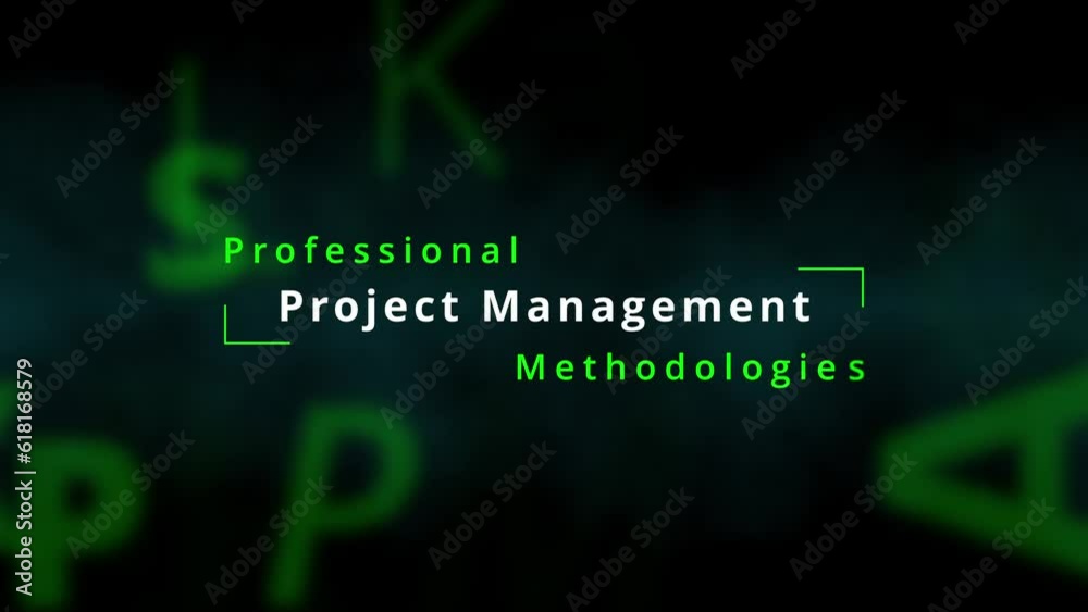 Professional project management methodologies for successful project ...