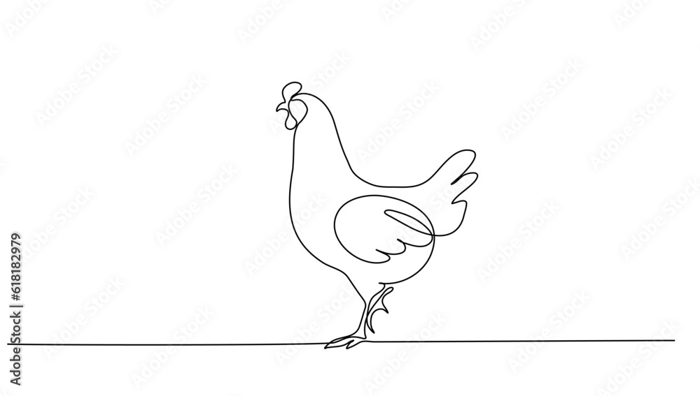 Continuous line art or One Line drawing of chicken for vector ...
