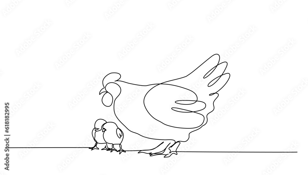 Continuous line art or One Line drawing of chicken for vector ...