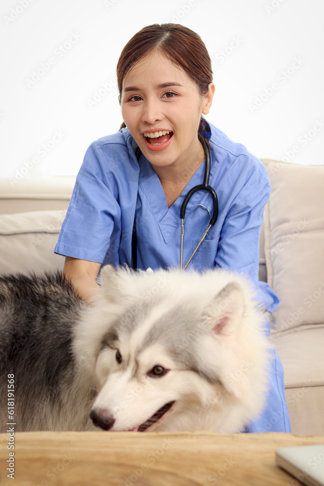 Happy beautiful Asian woman veterinarian examining dog at clinic, young ...