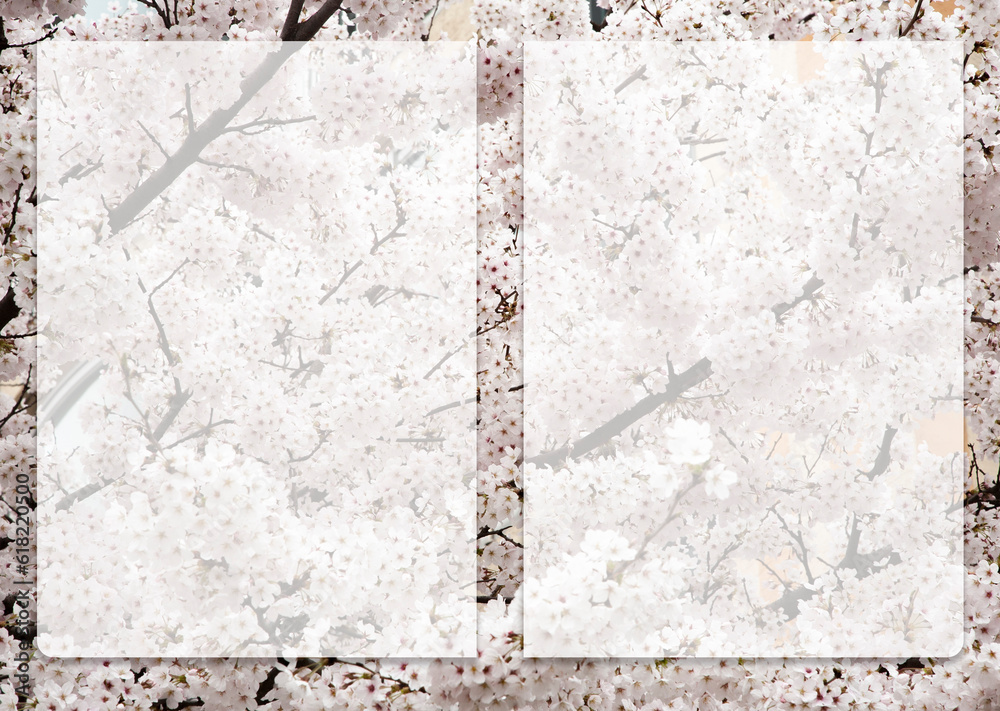 Edit Grid with translucent margins on top of images of cherry blossom ...