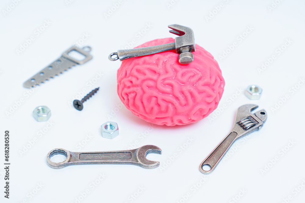 Crafting the Brain: Human Brain Model with Miniature Tools Stock Photo ...