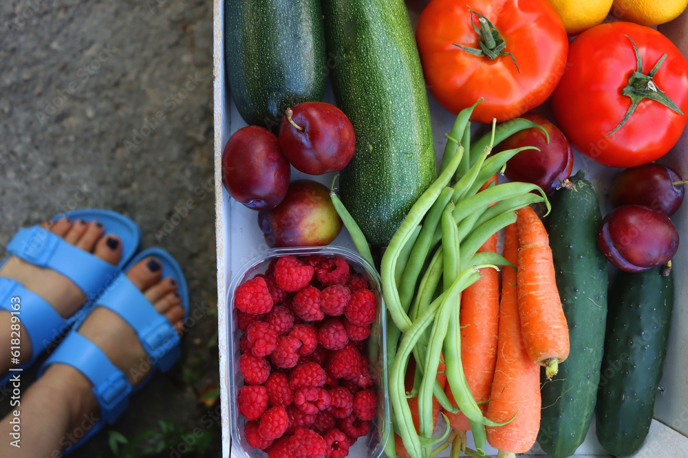 Crate of fresh fruit and vegetable, picked from the garden, and feet in ...