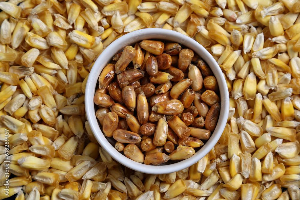 Peruvian chulpe corn kernels (raw roasted cancha nuts) for ceviche or ...