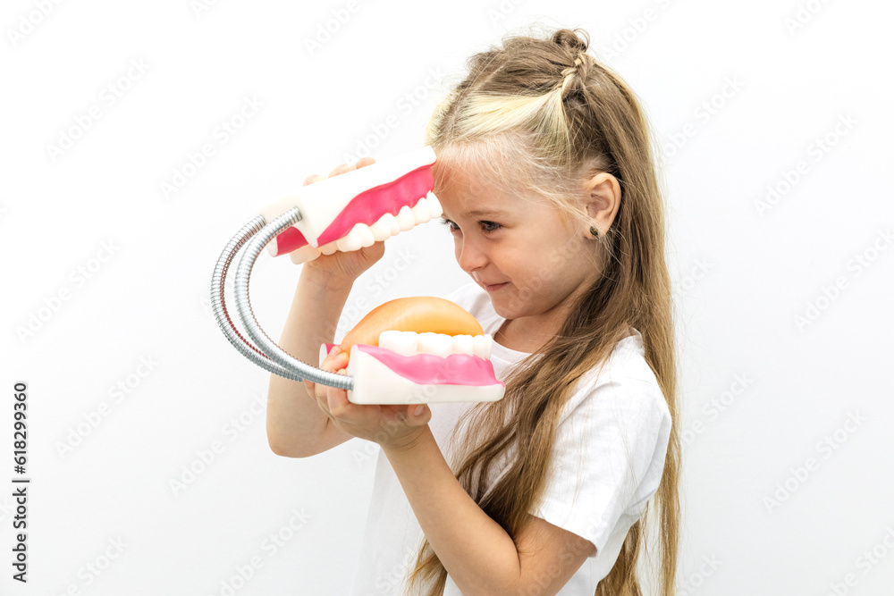 Cute girl showing model of teeth. Funny advertising child teeth ...