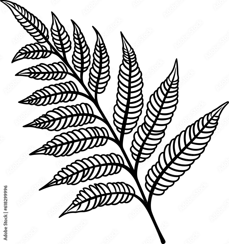 Fern line art vector illustration set isolated on white. Flower black ...