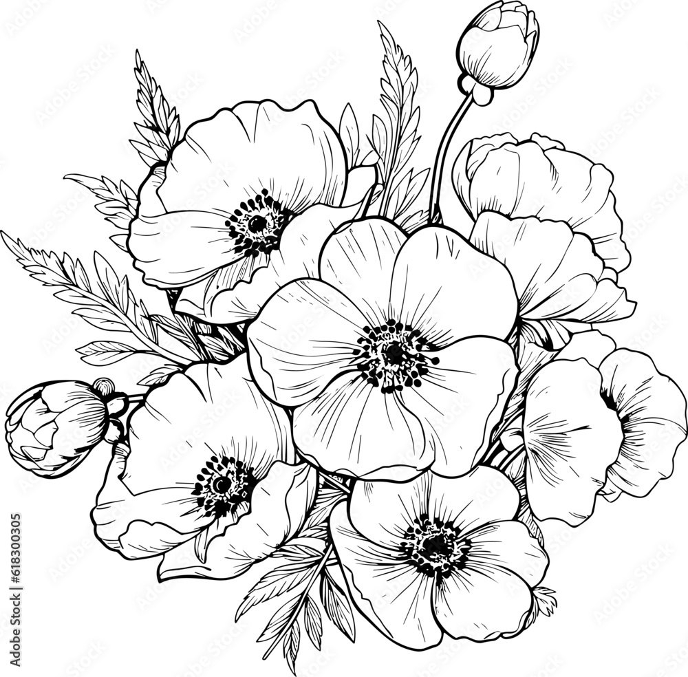 Poppies line art vector illustration set isolated on white. Flower ...