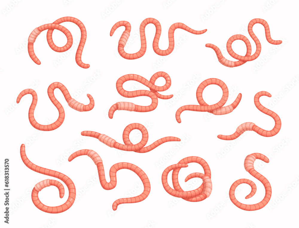 Cartoon worms, soil earthworms, garden ground insects. Cartoon vector ...