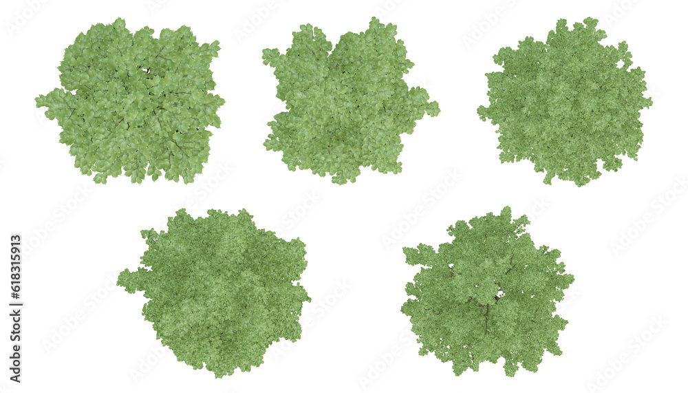 Set of green trees on top view isolated on transparent background, 2d ...