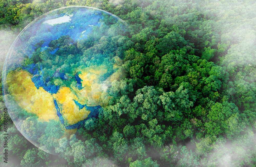 Aerial view of green forest against the land. Demonstrates the concept ...