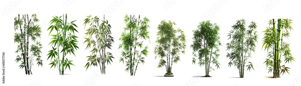 Bamboo on transparent background or PNG file, easy to decorate your ...