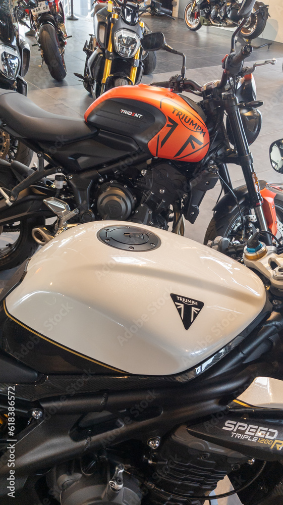 triumph trident and speed triple r roadster sport motorcycle detail ...