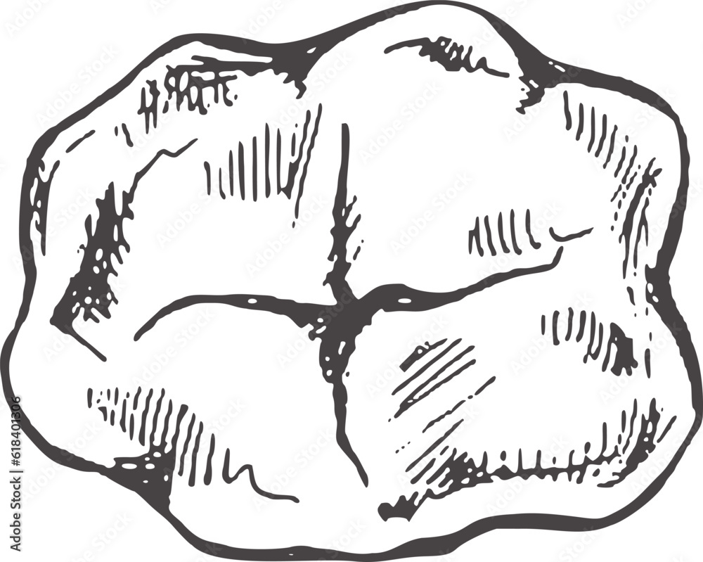 Highly detailed hand drawn human tooth with roots. Hand drawn sketch ...