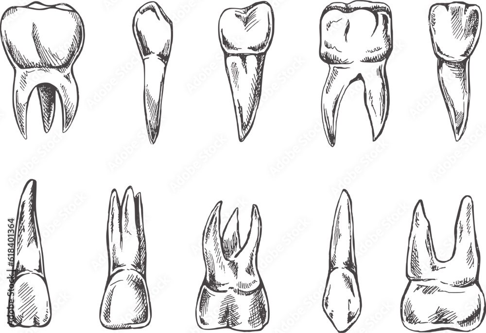 Stomatology hand drawn set. Toothache treatment. Teeth sketch ...