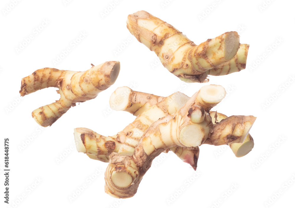 Galangal fly in mid air, fresh vegetable spice galangal falling ...