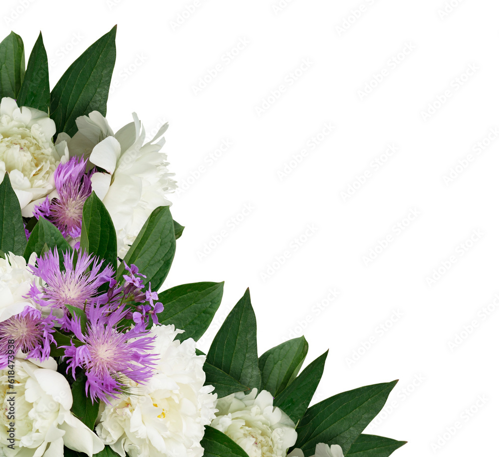 Peonies and wild flowers corner arrangement isolated on white or ...