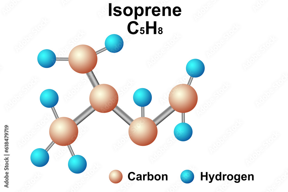 Molecular formula of isoprene isolated Stock Illustration | Adobe Stock