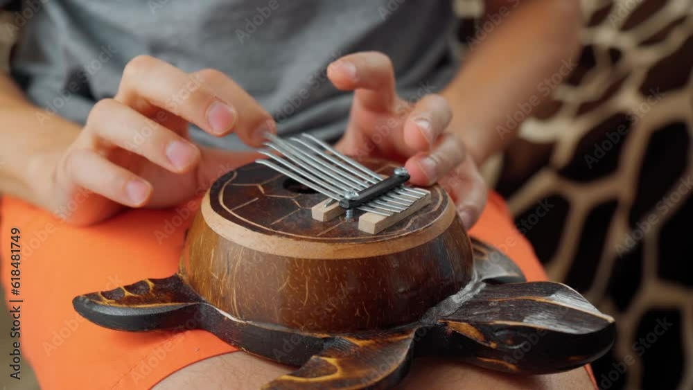 Kalimba turtle. Traditional Kalimba made from wooden board with metal ...