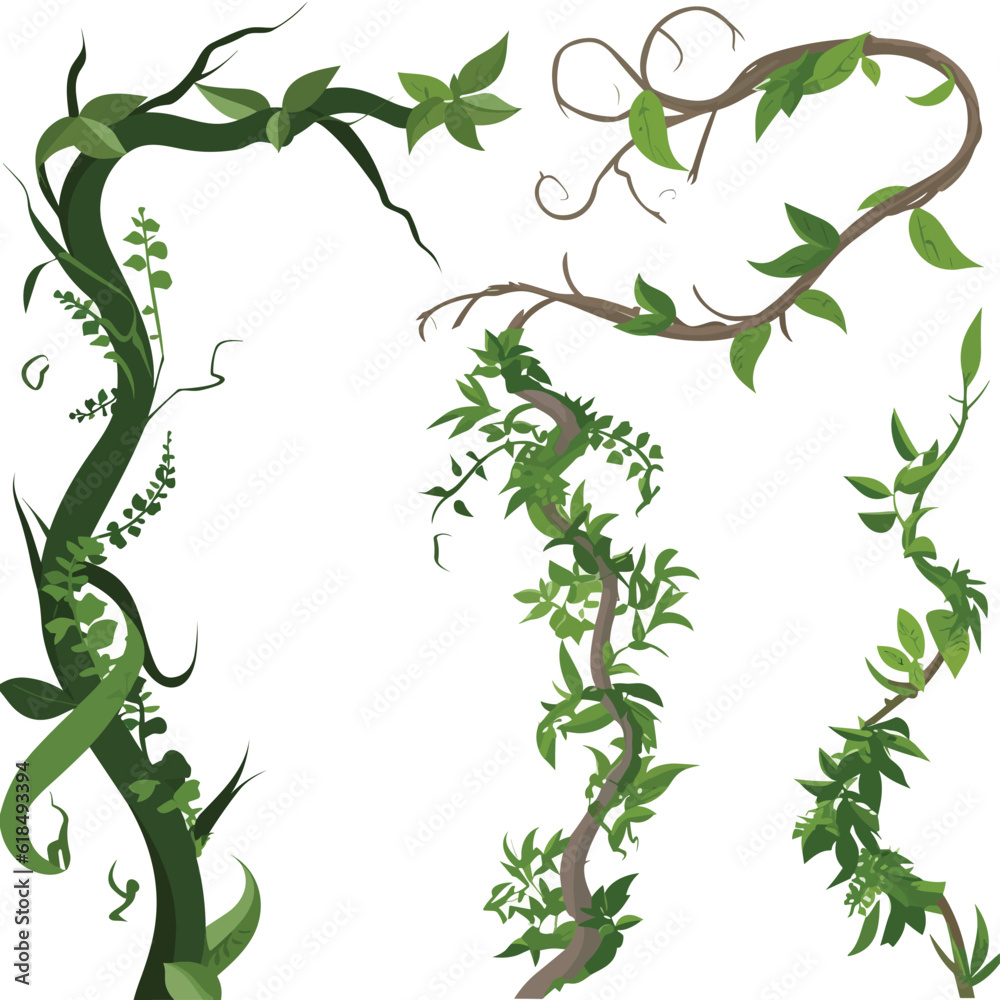 Tropical vines vegetation vector set isolated on white Stock Vector ...