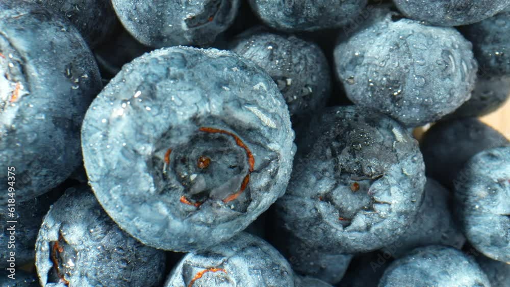 Captivating macro video reveals the mesmerizing beauty of a glistening ...