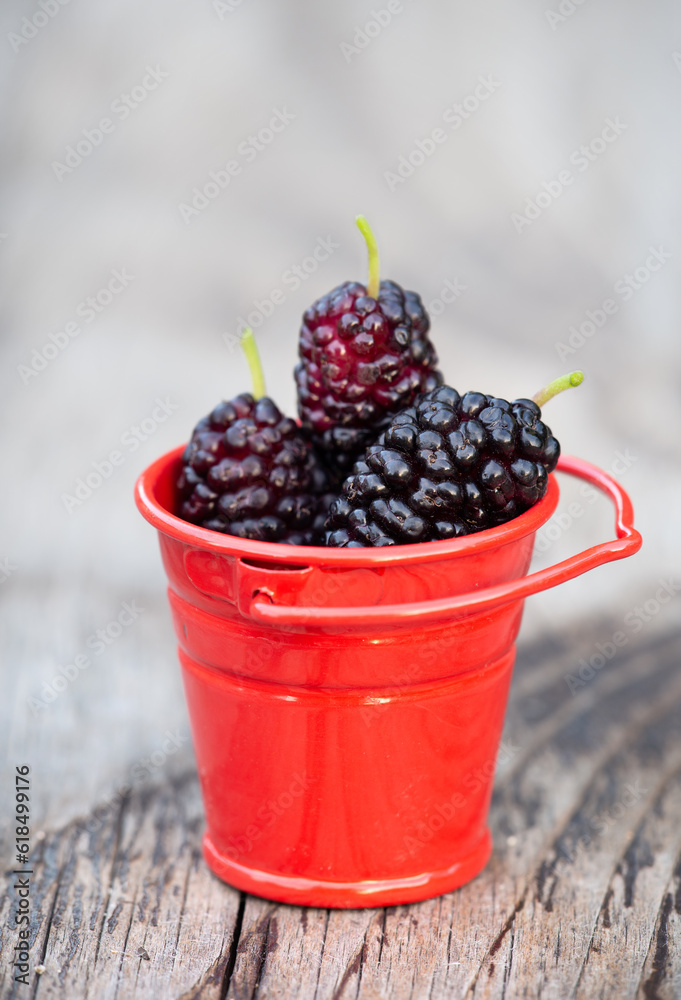 Mulberry sweet summer dessert fruits in a red decor pot, vertical ...
