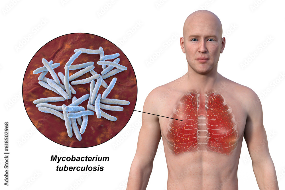 A 3D illustration showcasing the upper half part of a man with ...