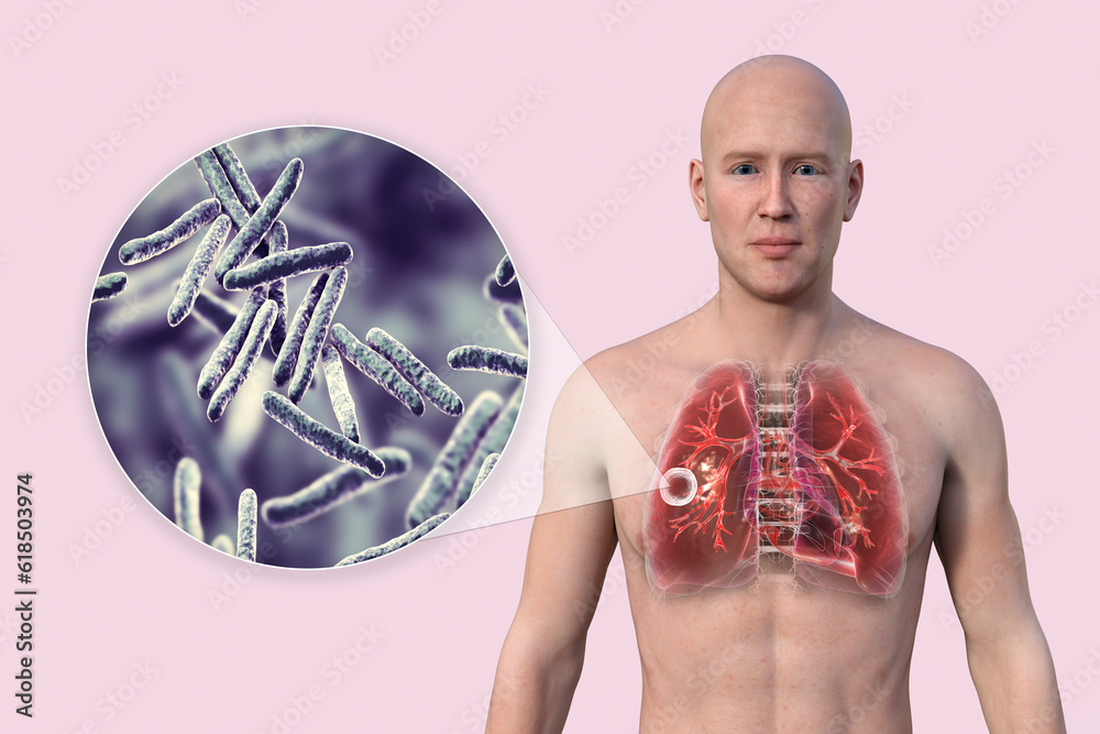 A 3D illustration of the upper half of a man with transparent skin ...