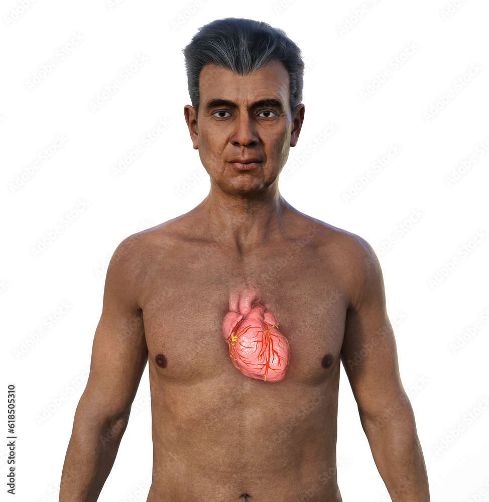 A 3D illustration of the upper half part of a senior man with ...