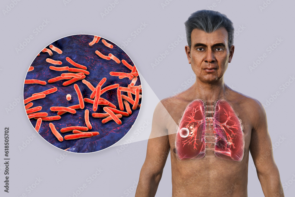 A 3D illustration of the upper half of a man with transparent skin ...