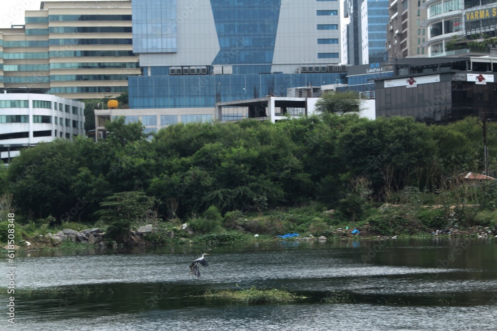 The Durgam Cheruvu Lake Hyderabad skyline buildings and beautiful urban ...