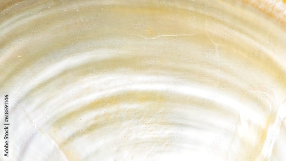 abstract pearl white texture background Stock Photo | Adobe Stock