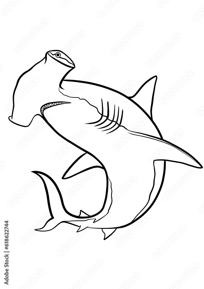 hammerhead shark outline illustration on transparent background Stock ...