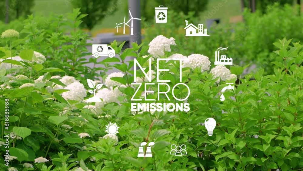 Net zero emission and carbon neutral concept. Net zero icons In Green Forest With Sunlight. net ...