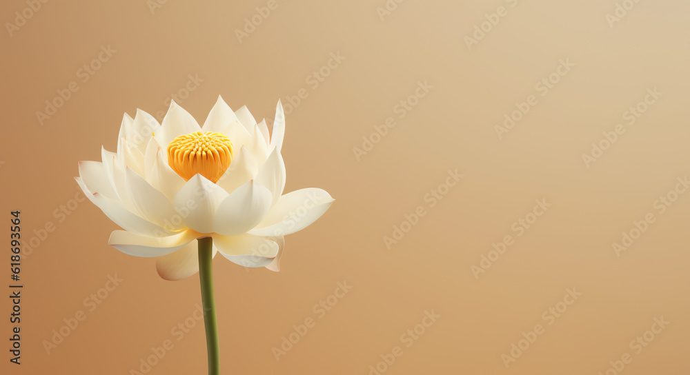 Beautiful tulip top or side view, illustration for product presentation ...