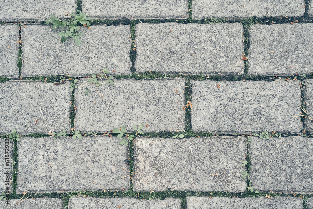 Paving slabs, copy space. Covering with modern textured paving slabs of ...