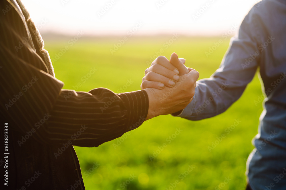 Two farmers shake hands after a fraction in a green wheat field. Farm ...