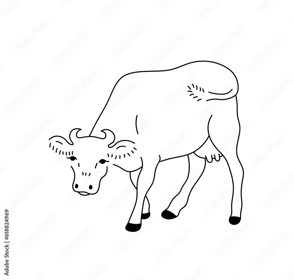 Vector isolated one single standing cow side view colorless black and ...