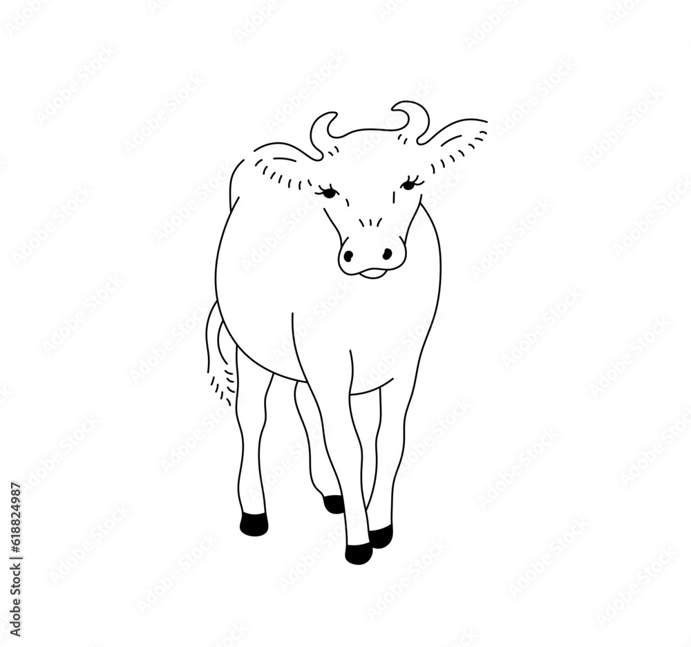 Vector isolated one single standing cow front view colorless black and ...