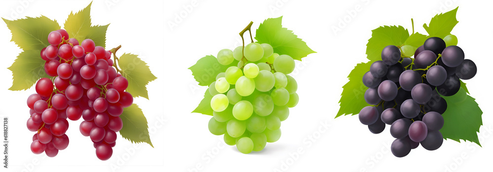 Different wine grapes on white background, table grapes. Fresh fruit ...