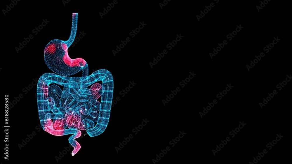 3D Gastrointestinal tract Scan. Organ Scanning Interface. HUD stomach ...