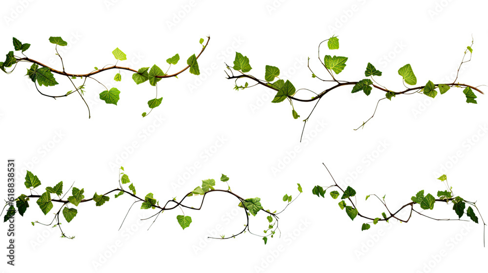 collection of vines isolated on a transparent background, generative ai ...