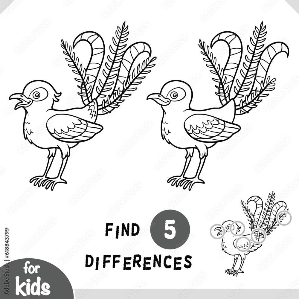 Cute cartoon Lyrebird bird, Find differences educational game for ...