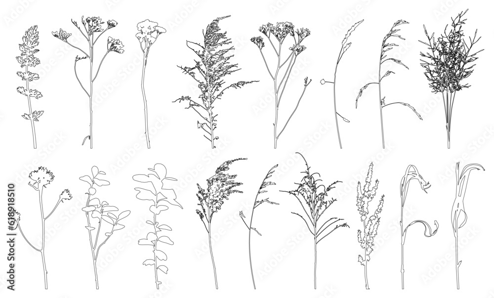 Set of weeds, wild plants in field and forest for architecture and ...