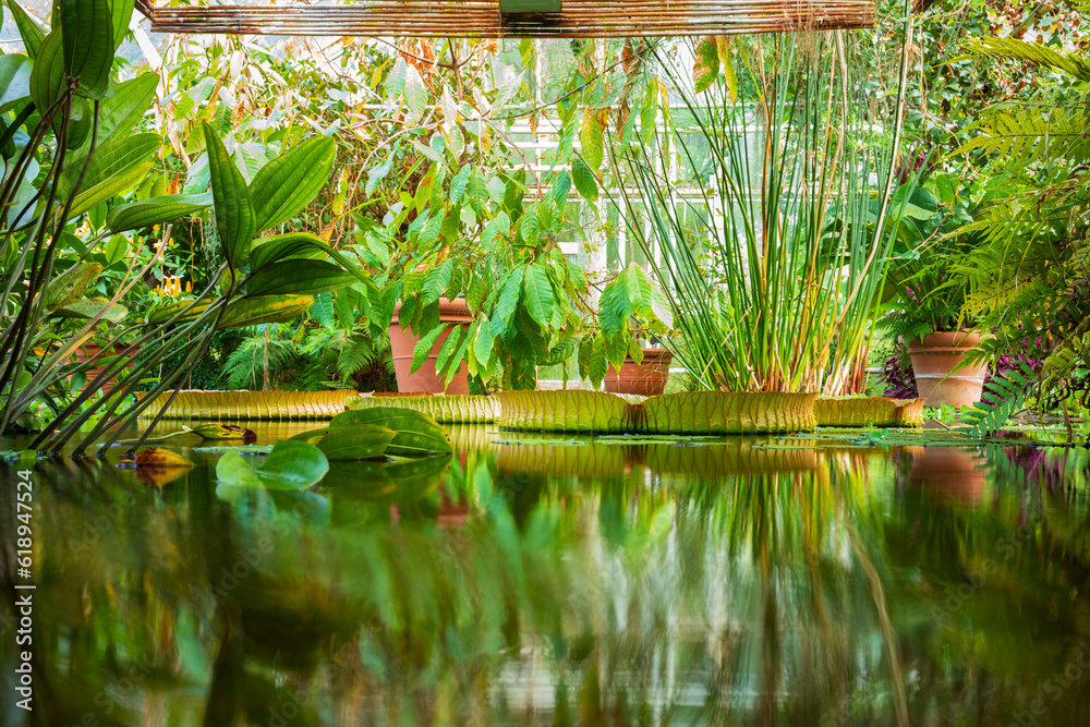 The University Botanical Garden (Botanisk hage) is Norway's oldest ...