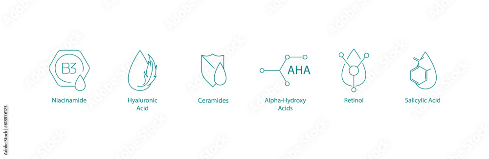 Powerhouse Skincare Ingredients: Vector Icons Illustrating Niacinamide ...
