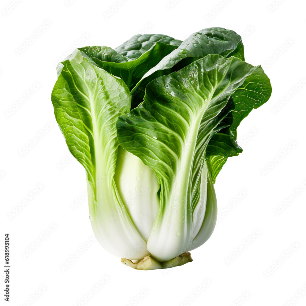 front view of Bok Choy vegetable isolated on transparent white ...