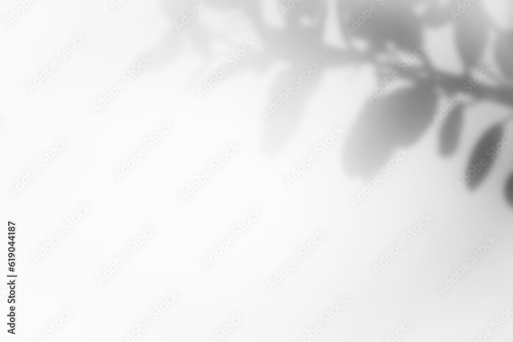 branches of a tree shadow overlay Stock Photo | Adobe Stock